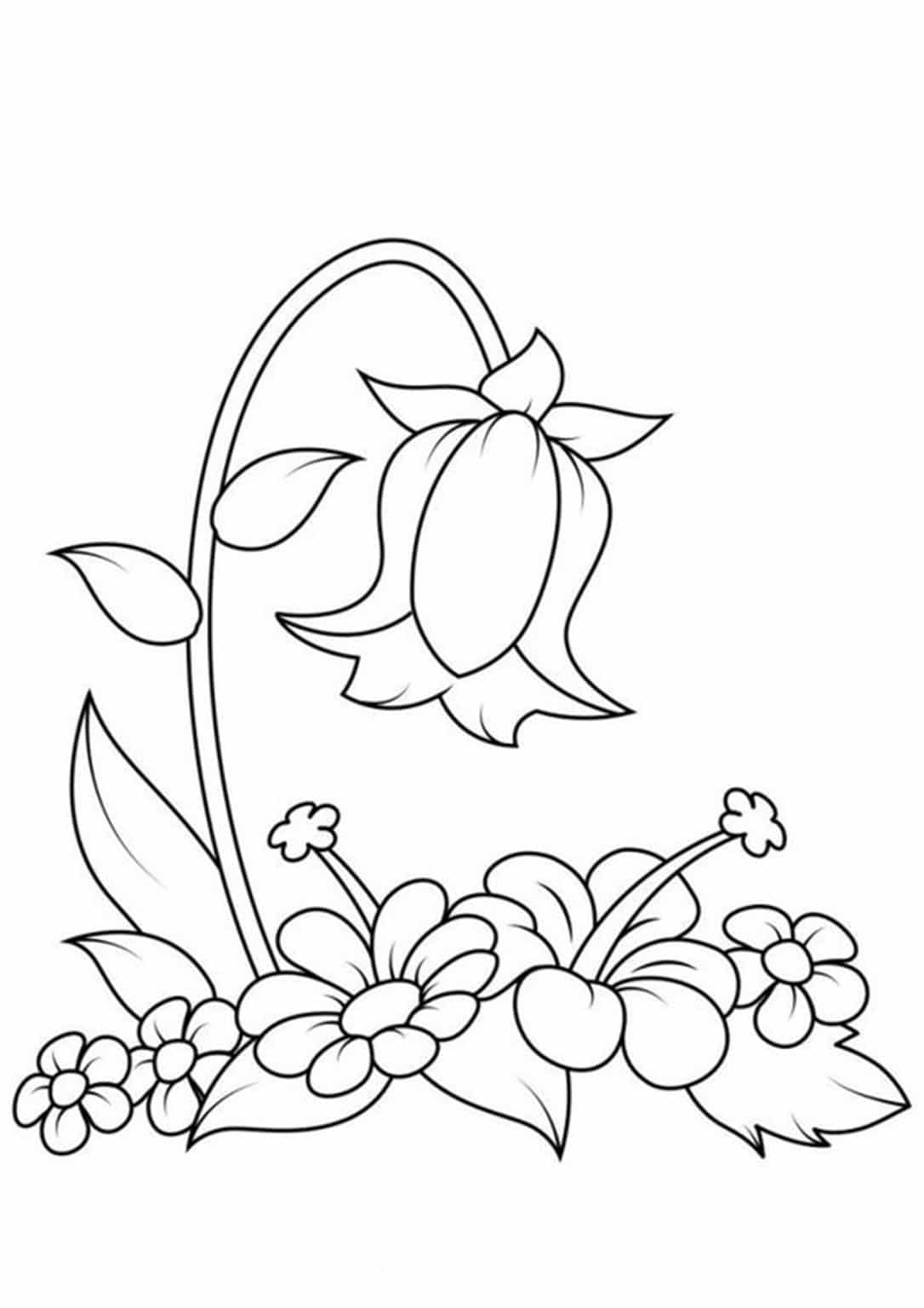 Free & Easy To Print Flower Coloring Pages - Tulamama