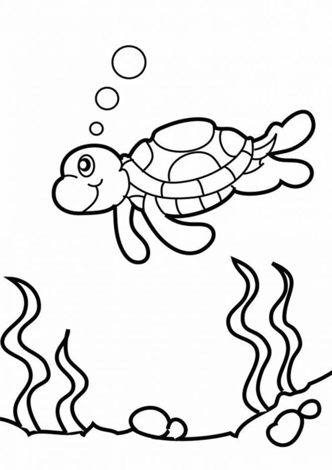 Free & Easy To Print Turtle Coloring Pages - Tulamama