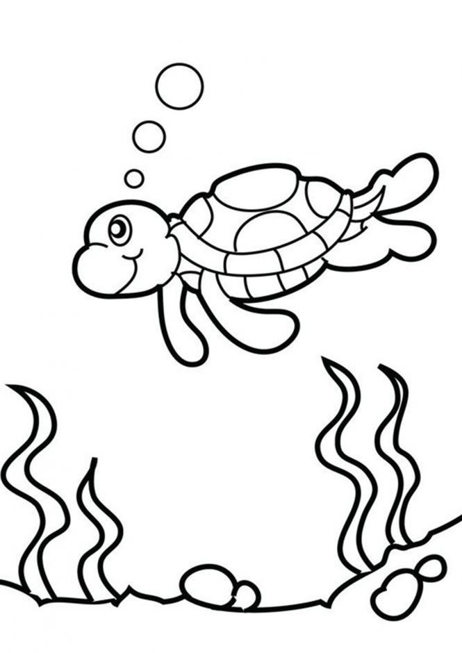 Free & Easy To Print Turtle Coloring Pages - Tulamama