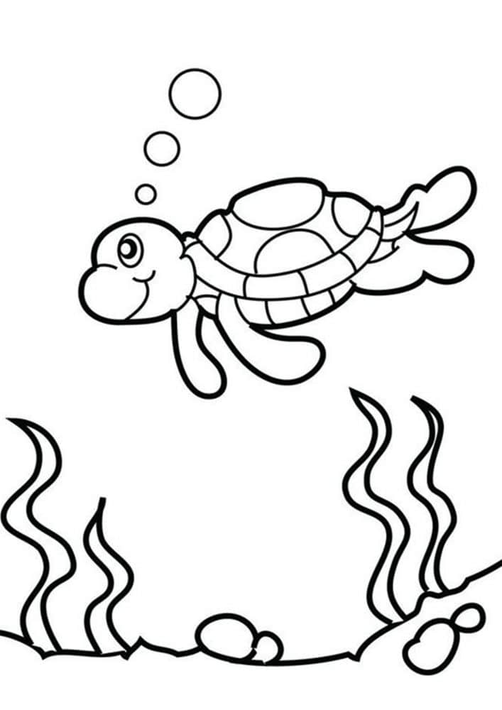 Free & Easy To Print Turtle Coloring Pages - Tulamama