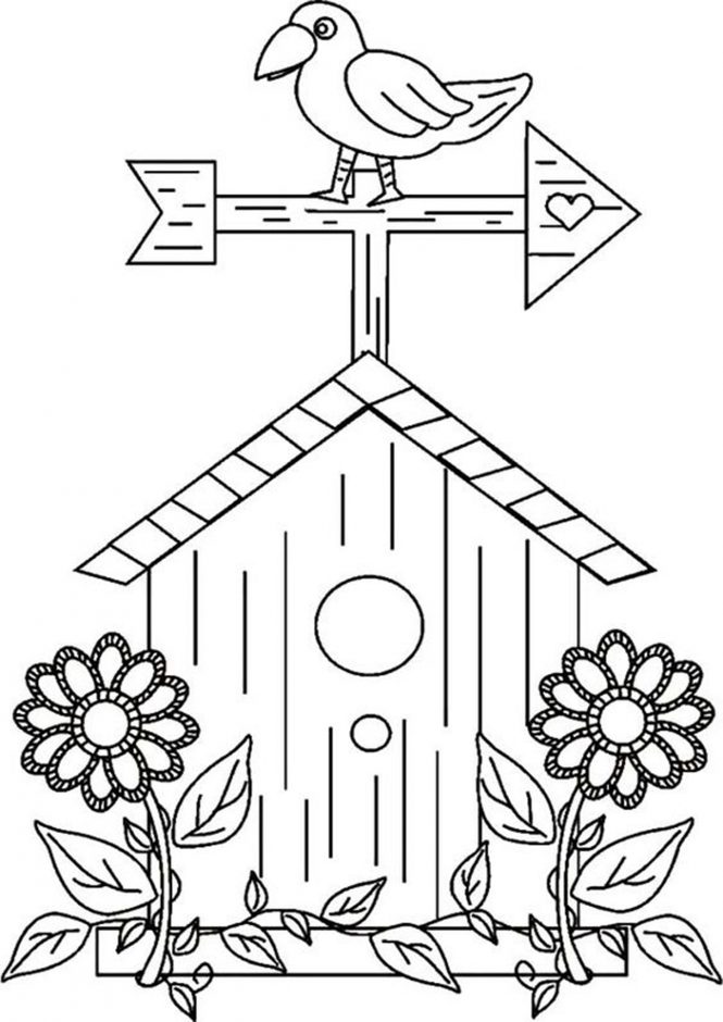 Free & Easy To Print Bird Coloring Pages - Tulamama