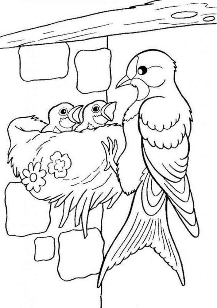 Free & Easy To Print Bird Coloring Pages - Tulamama