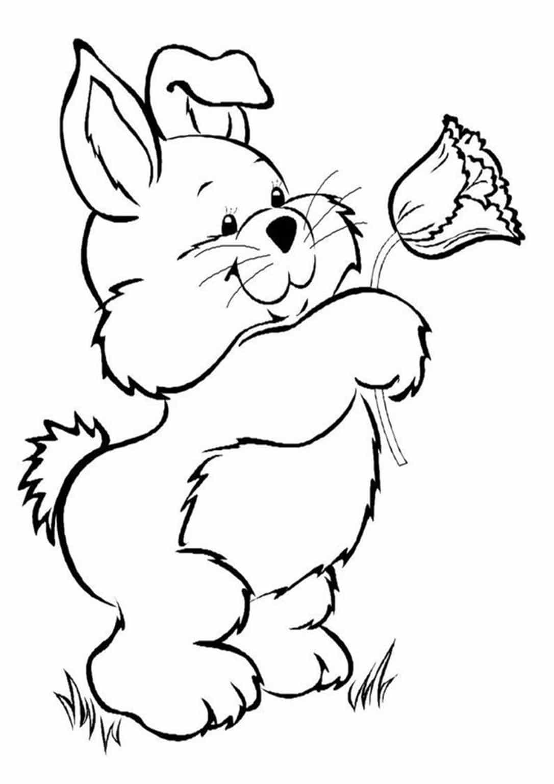 Free & Easy To Print Bunny Coloring Pages - Tulamama