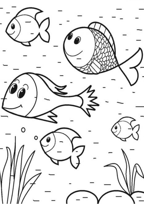 Free & Easy To Print Fish Coloring Pages - Tulamama