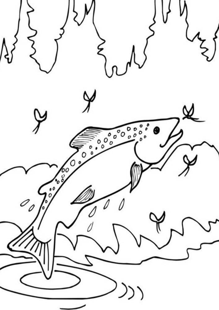 Free & Easy To Print Fish Coloring Pages - Tulamama