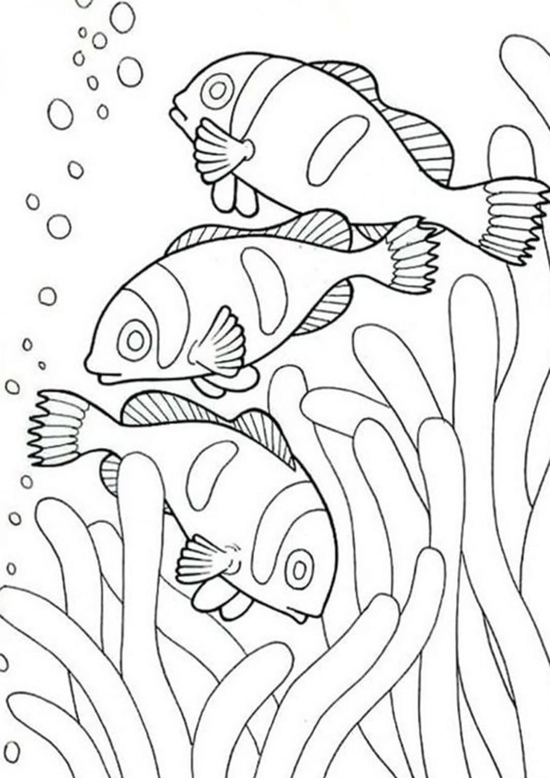 Free & Easy To Print Fish Coloring Pages - Tulamama