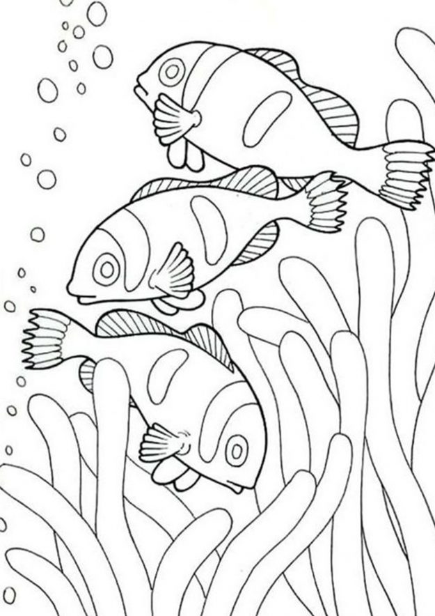 Free & Easy To Print Fish Coloring Pages - Tulamama