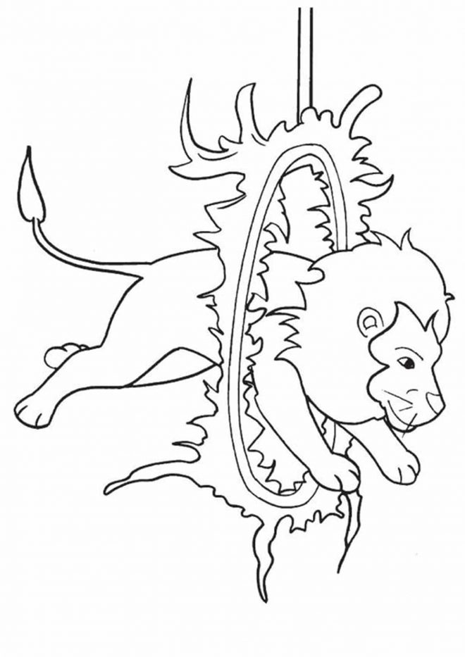 Free & Easy To Print Lion Coloring Pages - Tulamama