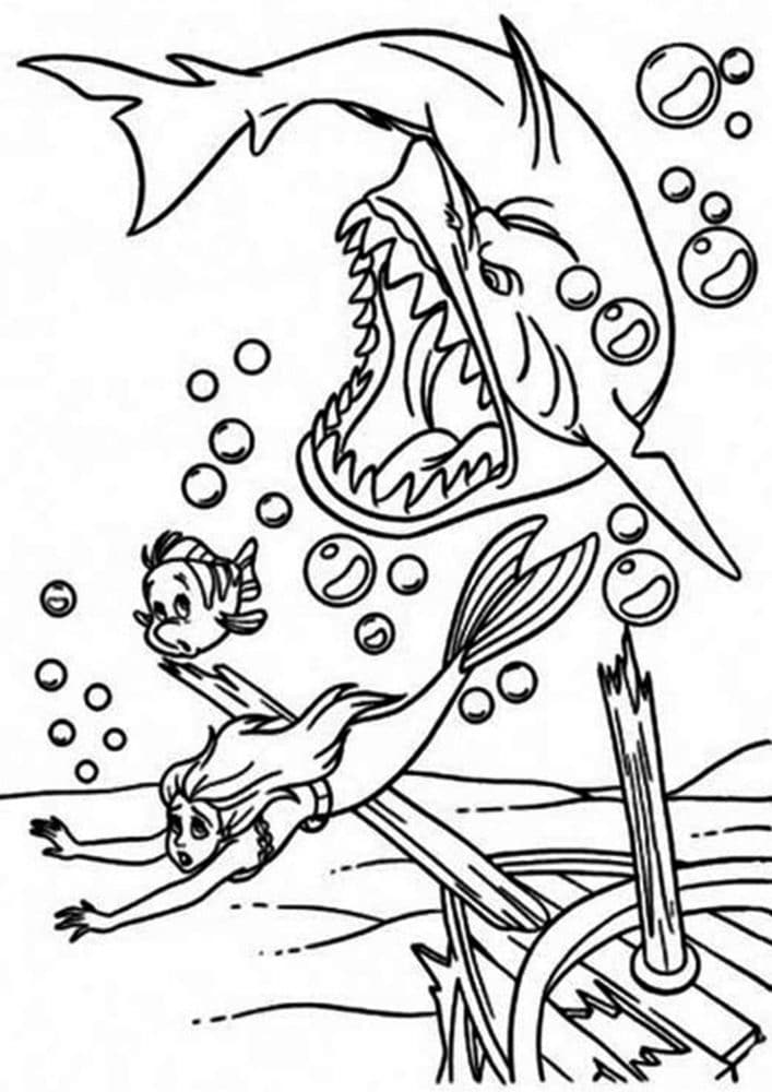 Free & Easy To Print Shark Coloring Pages - Tulamama