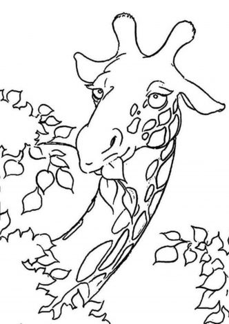 Free & Easy To Print Giraffe Coloring Pages - Tulamama