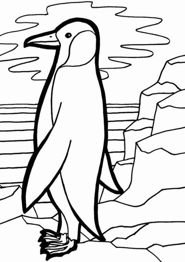 Free & Easy To Print Penguin Coloring Pages - Tulamama