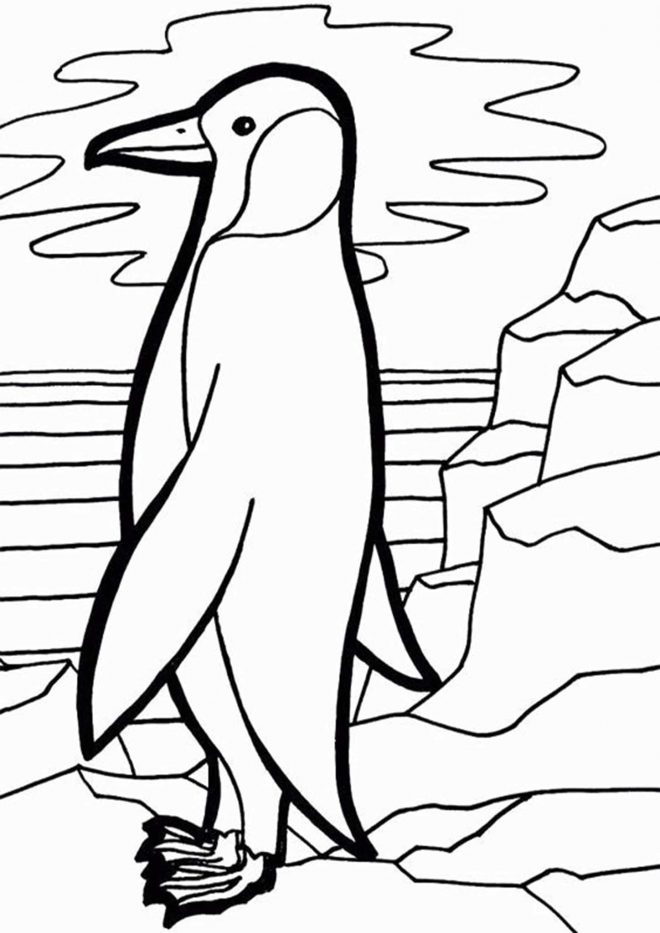 Free & Easy To Print Penguin Coloring Pages - Tulamama