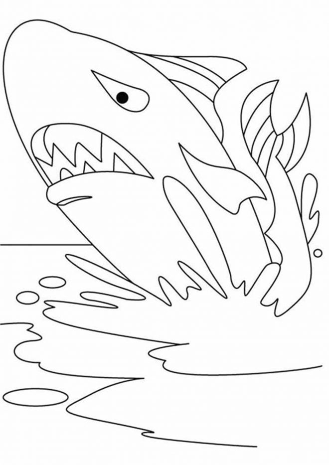 Free & Easy To Print Shark Coloring Pages - Tulamama