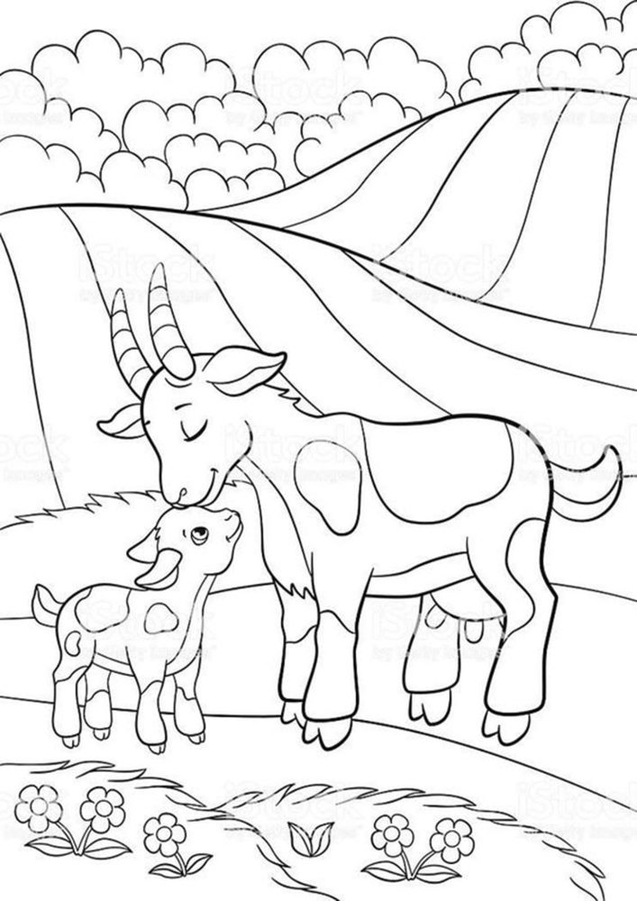 Free & Easy To Print Baby Animal Coloring Pages - Tulamama