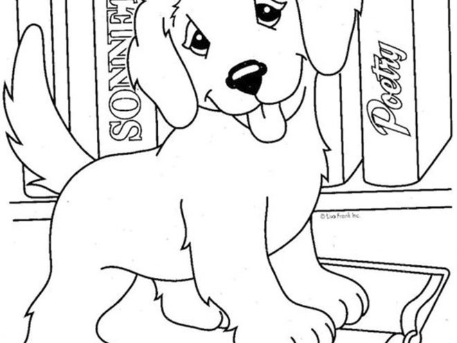 Free & Easy To Print Baby Animal Coloring Pages - Tulamama Free & Easy To Print Baby Animal Coloring Pages - Tulamama
