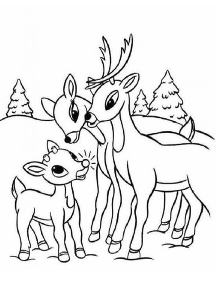 Free & Easy To Print Baby Animal Coloring Pages - Tulamama