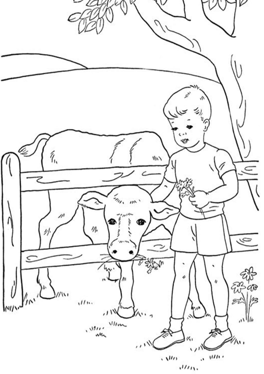 Free & Easy To Print Cow Coloring Pages - Tulamama