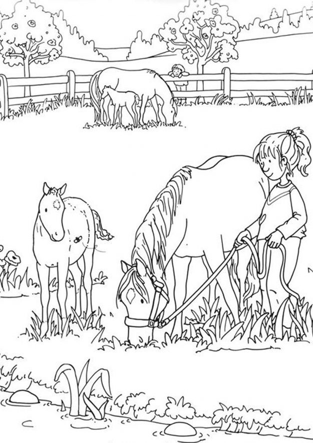 Free & Easy To Print Farm Coloring Pages - Tulamama