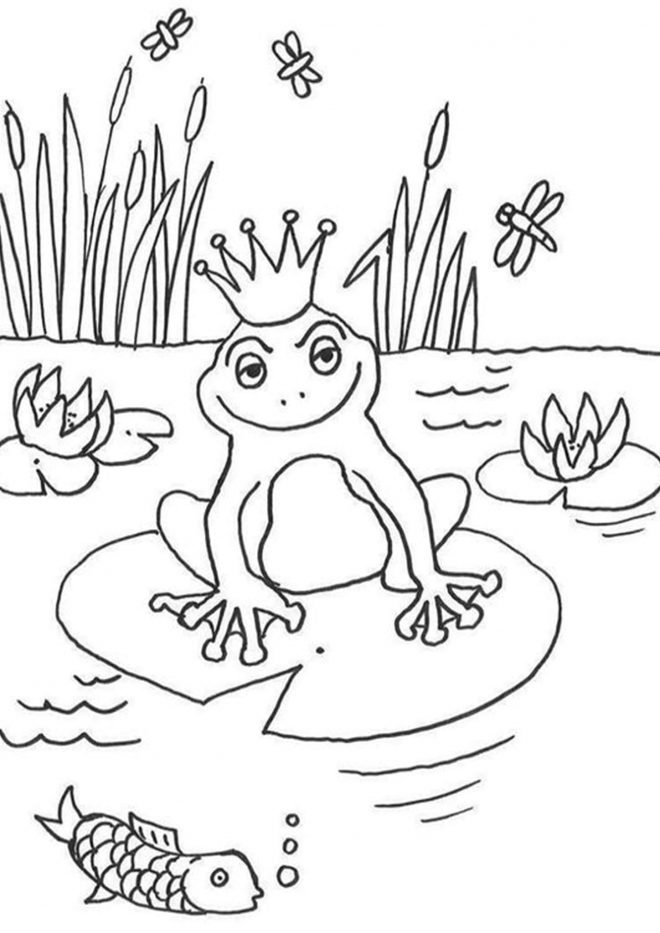 Free & Easy To Print Frog Coloring Pages - Tulamama