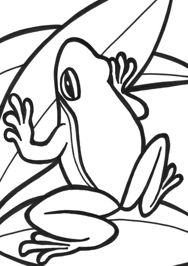 Free & Easy To Print Frog Coloring Pages - Tulamama