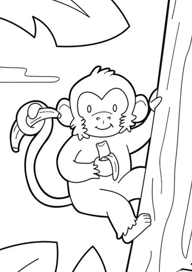 Free & Easy To Print Monkey Coloring Pages - Tulamama