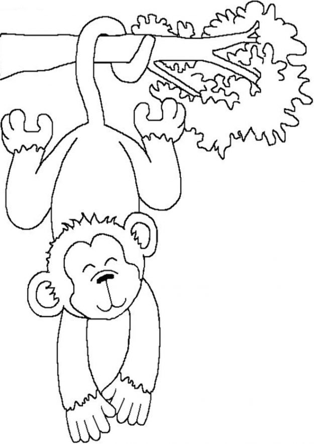Free & Easy To Print Monkey Coloring Pages - Tulamama