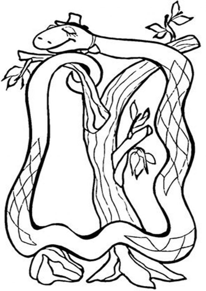 Free & Easy To Print Snake Coloring Pages - Tulamama