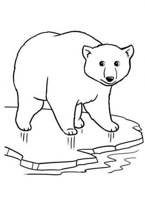 Free & Easy To Print Bear Coloring Pages - Tulamama