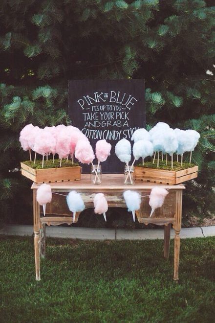 The Cutest Gender Reveal Food Ideas - Tulamama