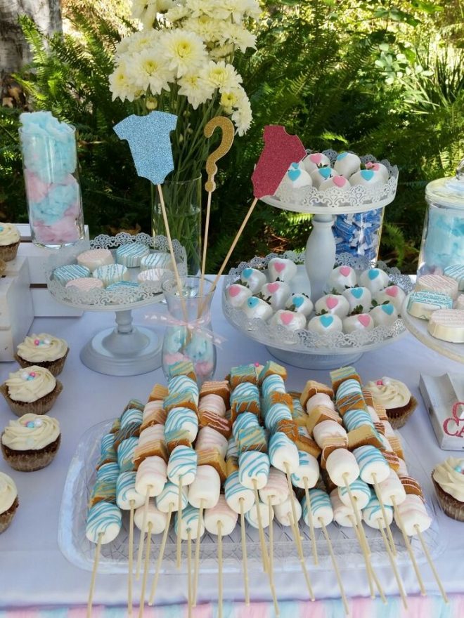 Finger Food Ideas For Gender Reveal Party At Donna Hammonds Blog