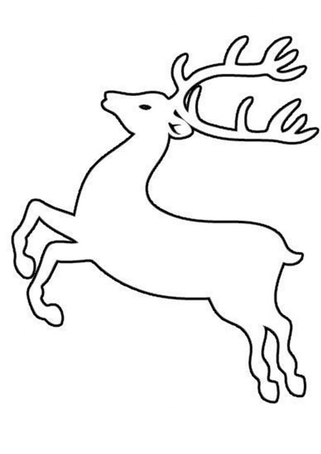 Free Printable Reindeer Coloring Pages - Tulamama