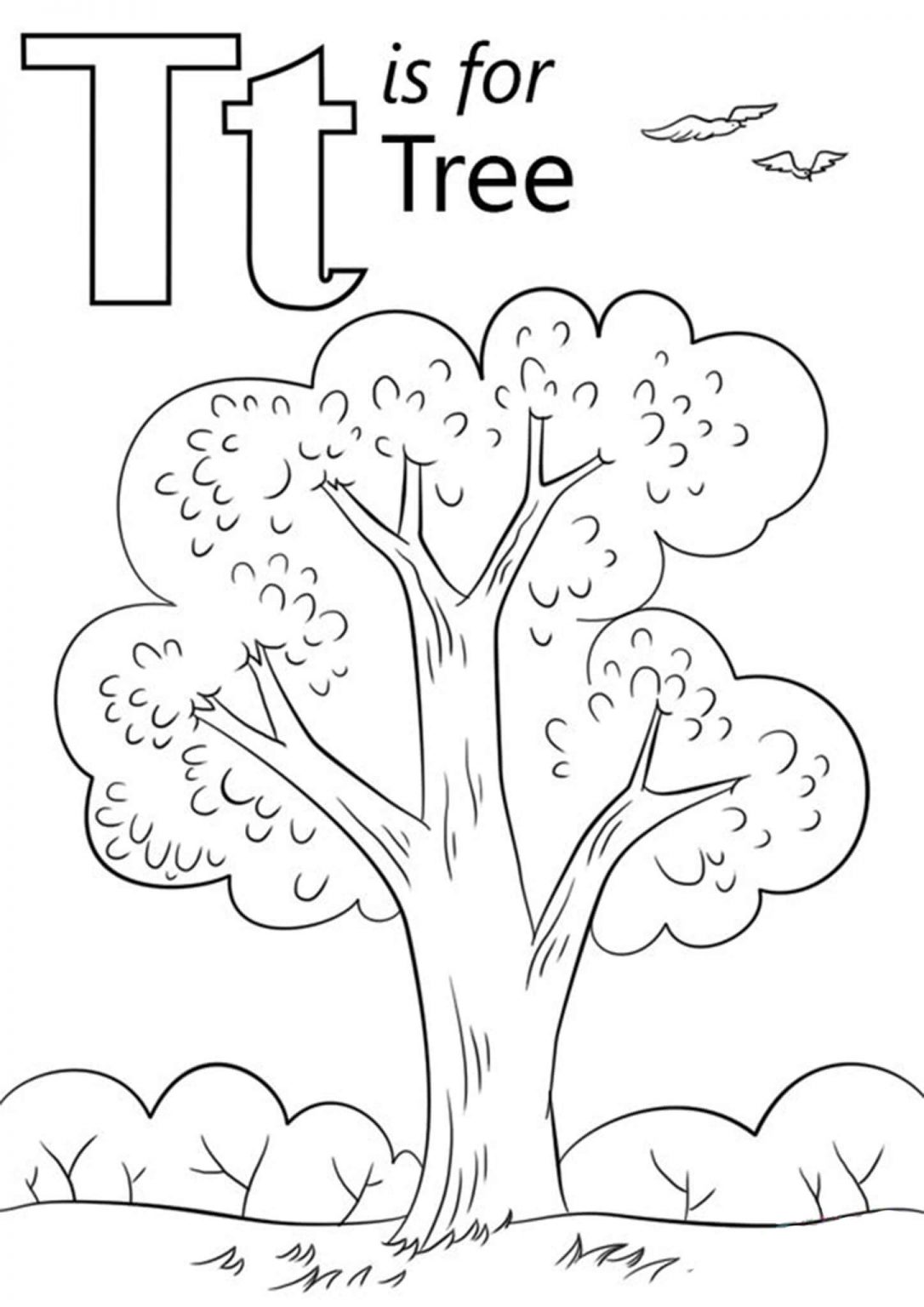 Free & Easy To Print Tree Coloring Pages - Tulamama