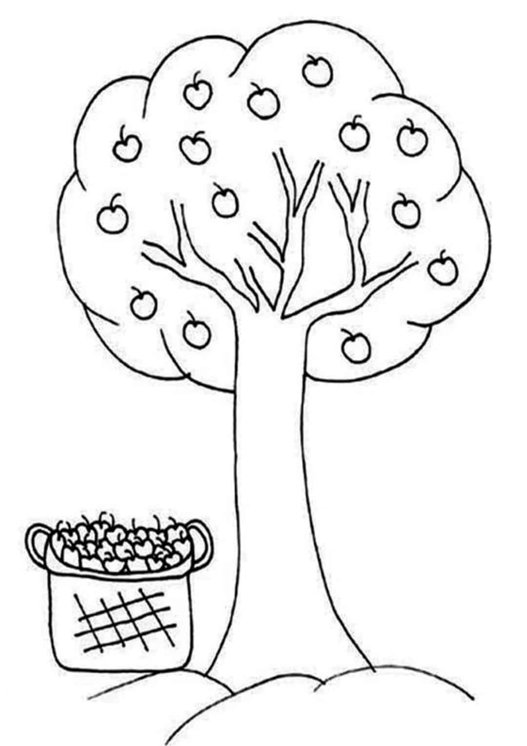 Free & Easy To Print Apple Coloring Pages - Tulamama