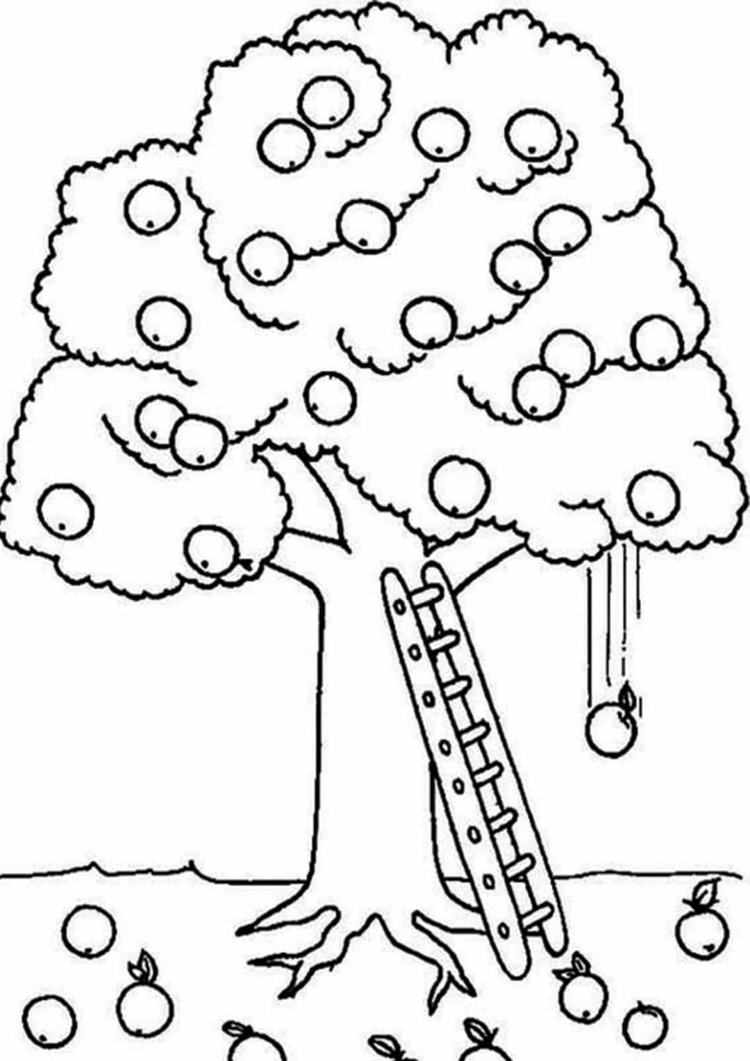 Free & Easy To Print Apple Coloring Pages - Tulamama