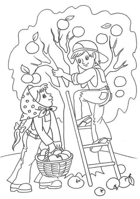 Free & Easy To Print Apple Coloring Pages - Tulamama