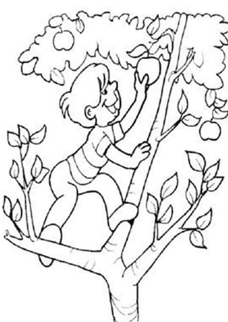 Free & Easy To Print Apple Coloring Pages - Tulamama