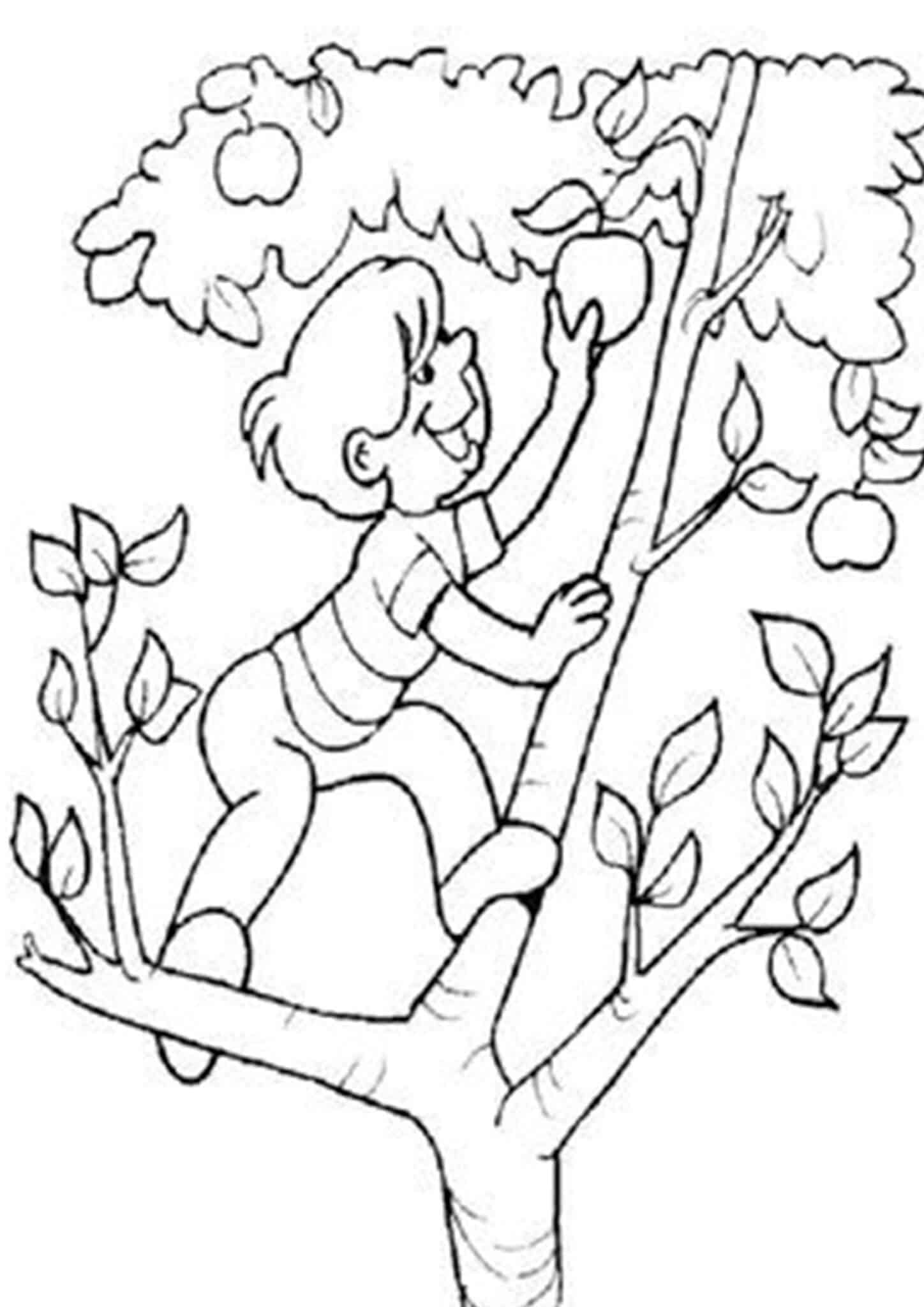 Free & Easy To Print Apple Coloring Pages - Tulamama
