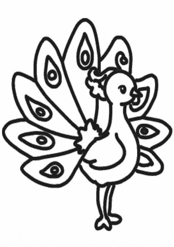 Free & Easy To Print Peacock Coloring Pages - Tulamama
