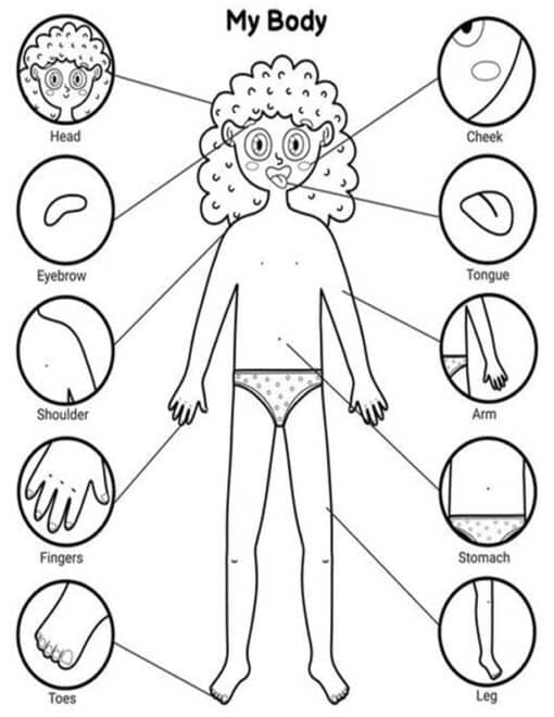 Free & Easy To Print Science Coloring Pages - Tulamama
