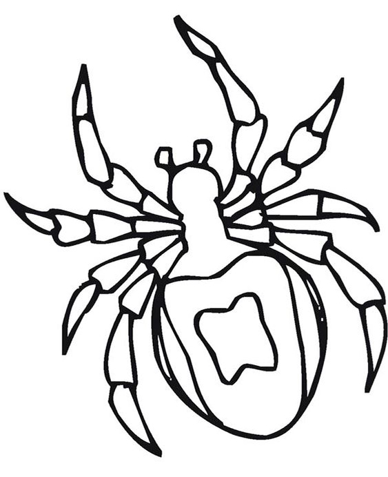 Free & Easy To Print Spider Coloring Pages - Tulamama