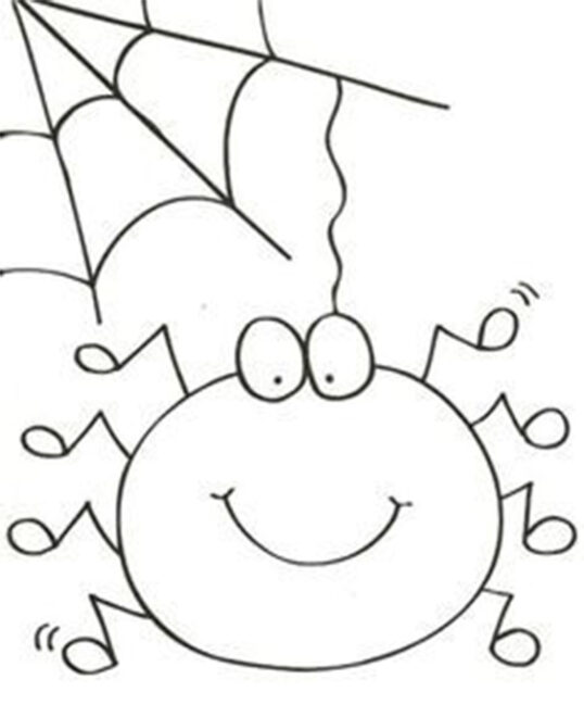 Free & Easy To Print Spider Coloring Pages - Tulamama