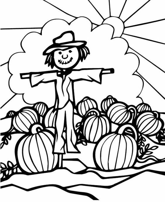 Pumpkin Patch Coloring Page