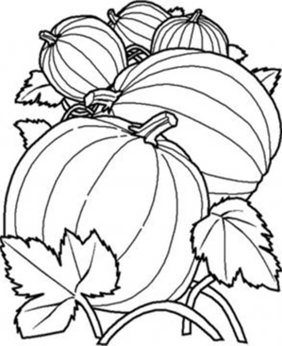 Free & Easy To Print Pumpkin Coloring Pages - Tulamama