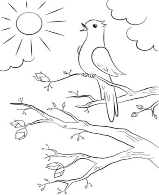 Free & Easy To Print Spring Coloring Pages - Tulamama