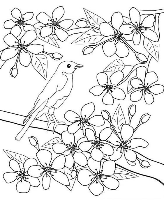 Free & Easy To Print Spring Coloring Pages - Tulamama