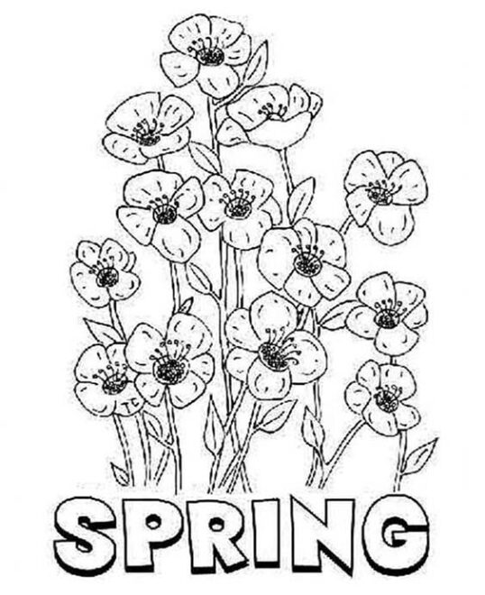 Free & Easy To Print Weather Coloring Pages - Tulamama