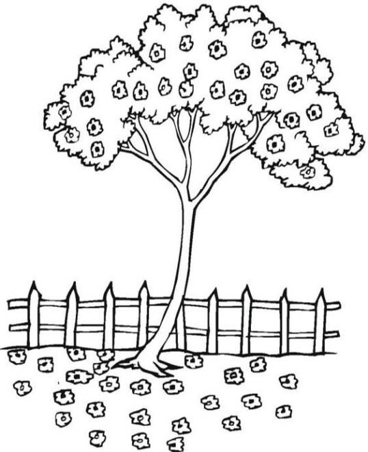 Free & Easy To Print Spring Coloring Pages - Tulamama