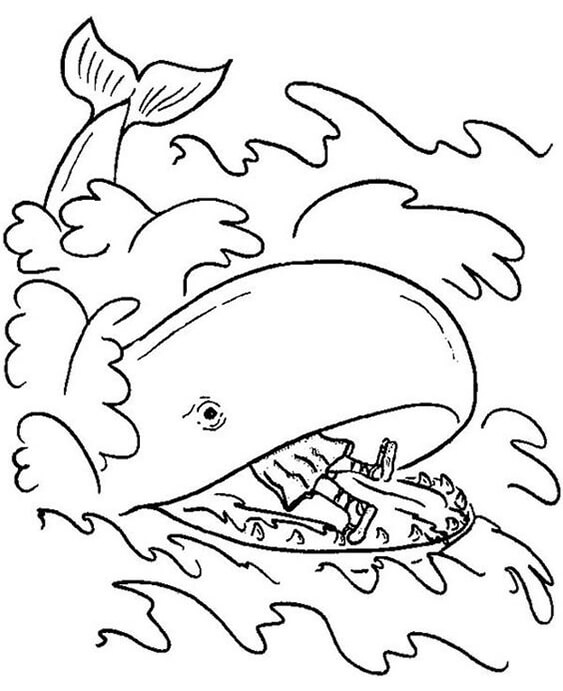 Free & Easy To Print Whale Coloring Pages - Tulamama