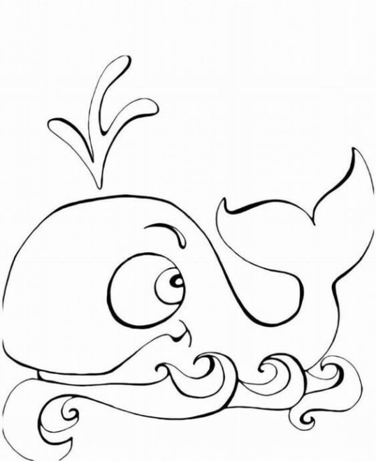 Free & Easy To Print Whale Coloring Pages - Tulamama