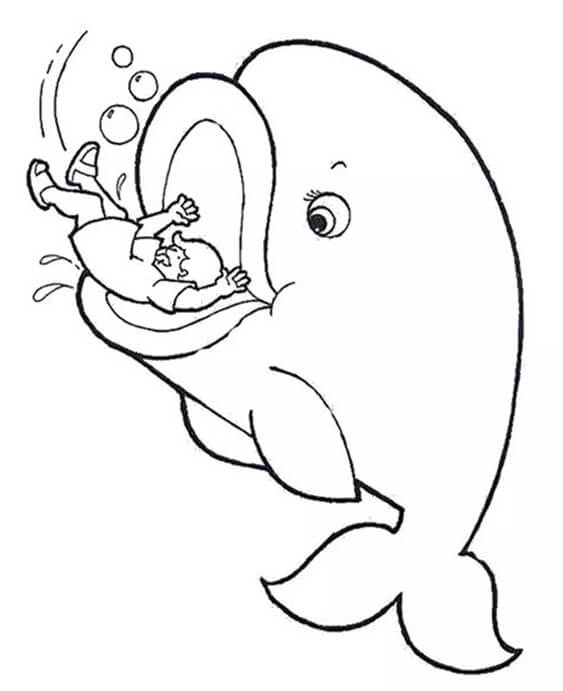 Free & Easy To Print Whale Coloring Pages - Tulamama